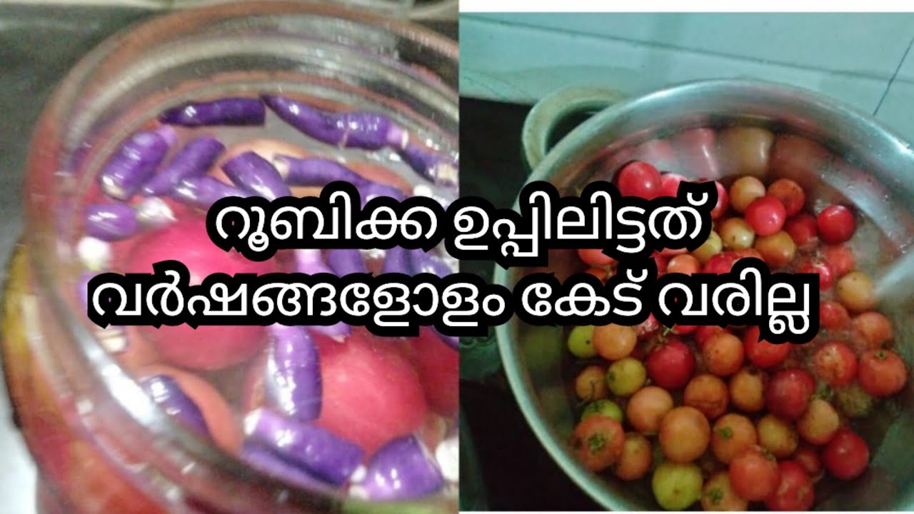 റൂബിക്ക ഇങ്ങനെ ഉപ്പിലിട്ടാൽ വർഷങ്ങളോളം കേടു വരില്ല /rubikka ...