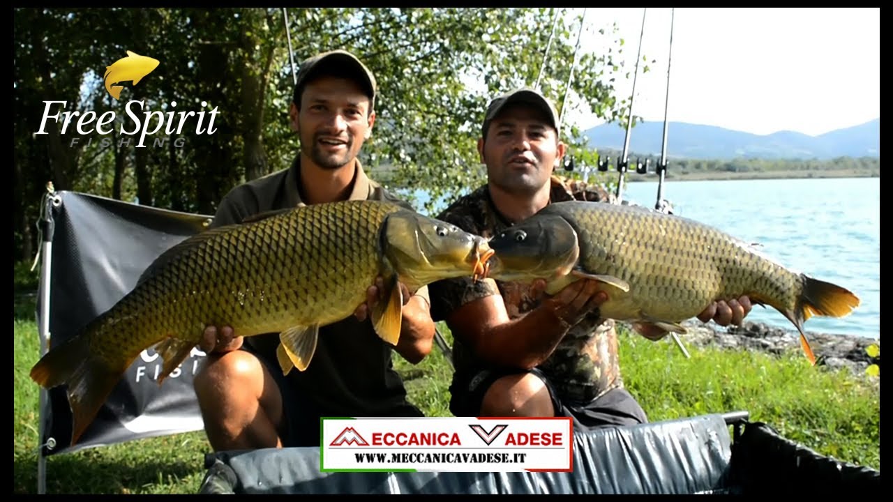 CARP FISHING - FREE SPIRIT IN ITALY - YouTube