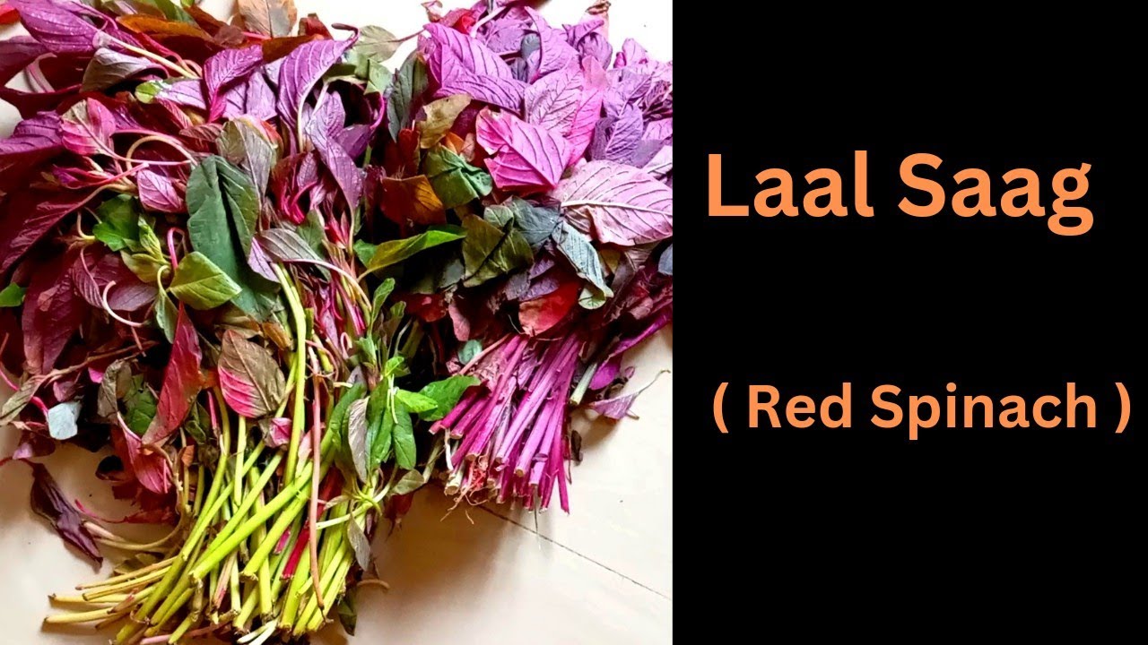 Laal saag | Healthy Recipe | Easy To Cook | Red Spinach | Amaranth ...