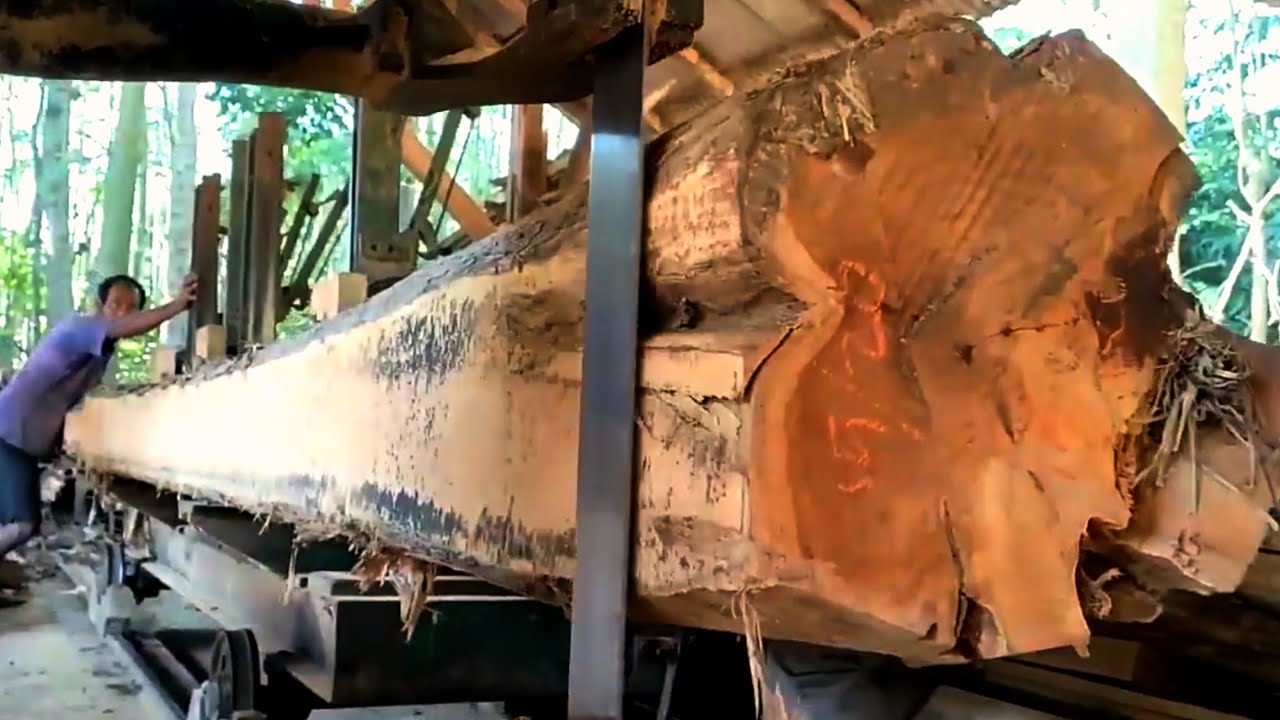 Spectacular// sawing a beautiful 15 foot long teak log making a 15x20cm ...