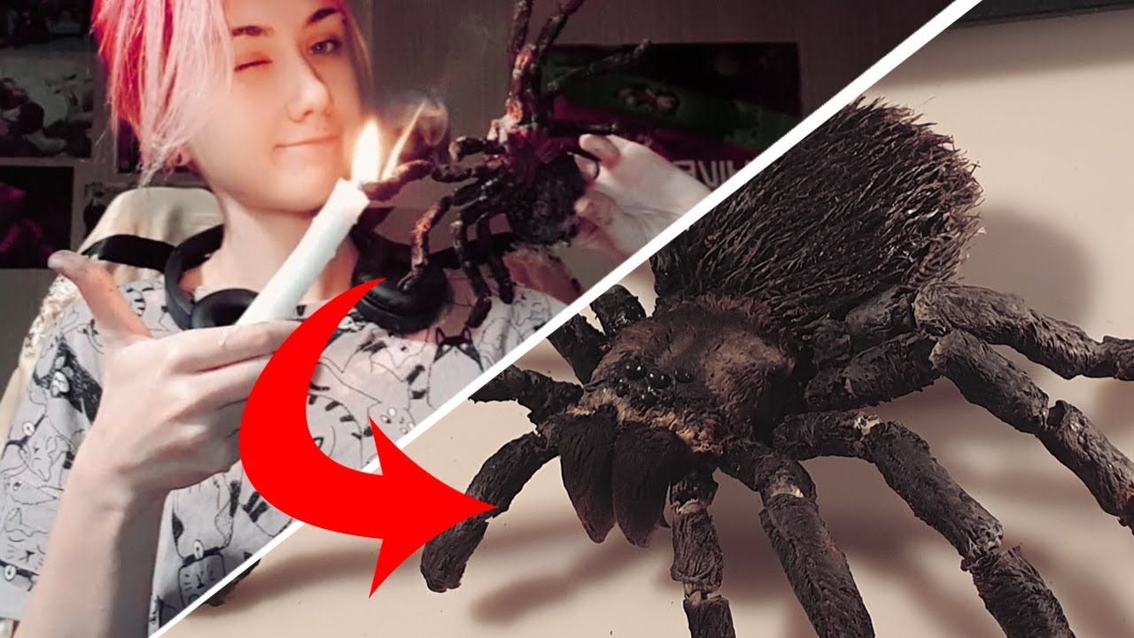 An (Un)helpful Giant Realistic Spider DIY - YouTube