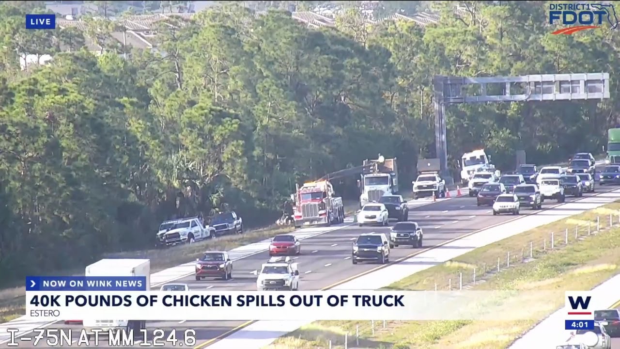 Semi spills 40,000 pounds of raw chicken after crash on I-75 in Lee ...