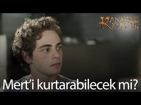Mert'i kaçırma planları - Kanatsız Kuşlar 14. Bölüm
