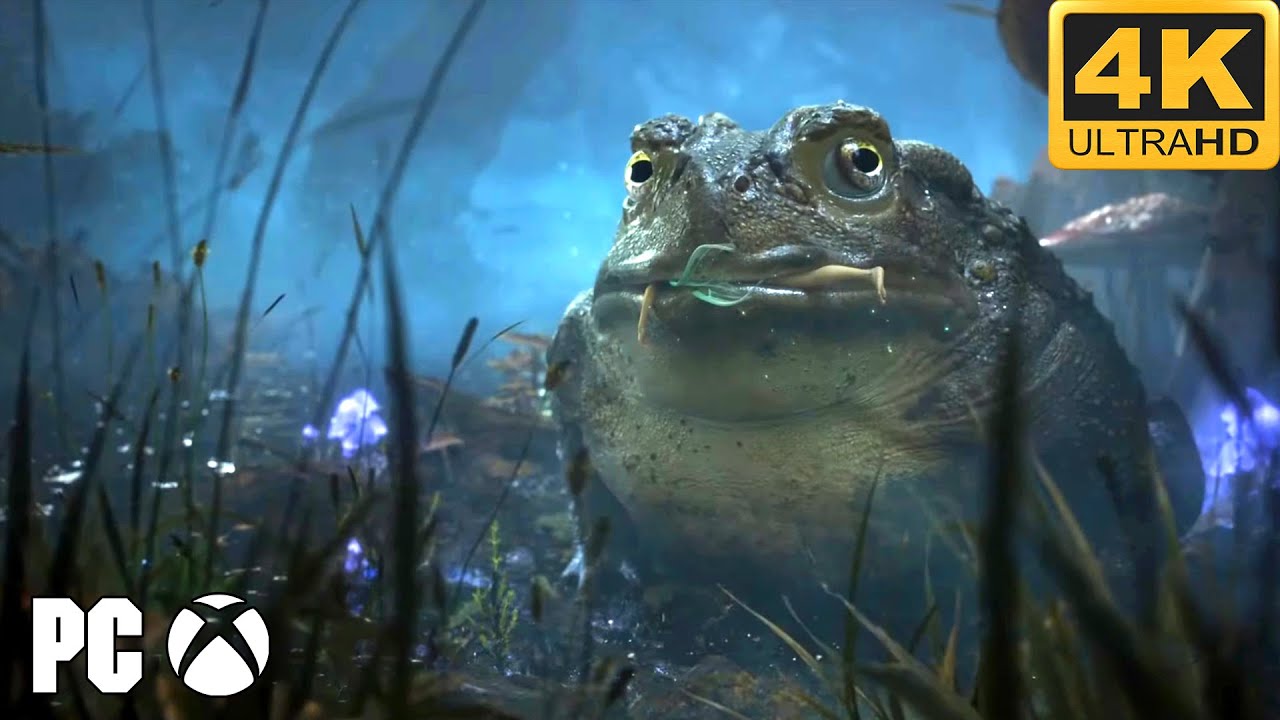 FABLE 4 | Official UE5 Trailer | INSANE Graphics [4KHD] - YouTube