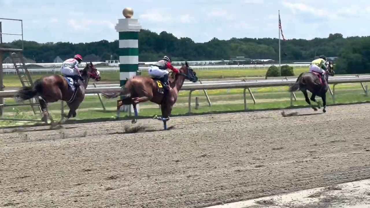 Pennsylvania Thoroughbred Horsemen's Association (PTHA) – PTHA