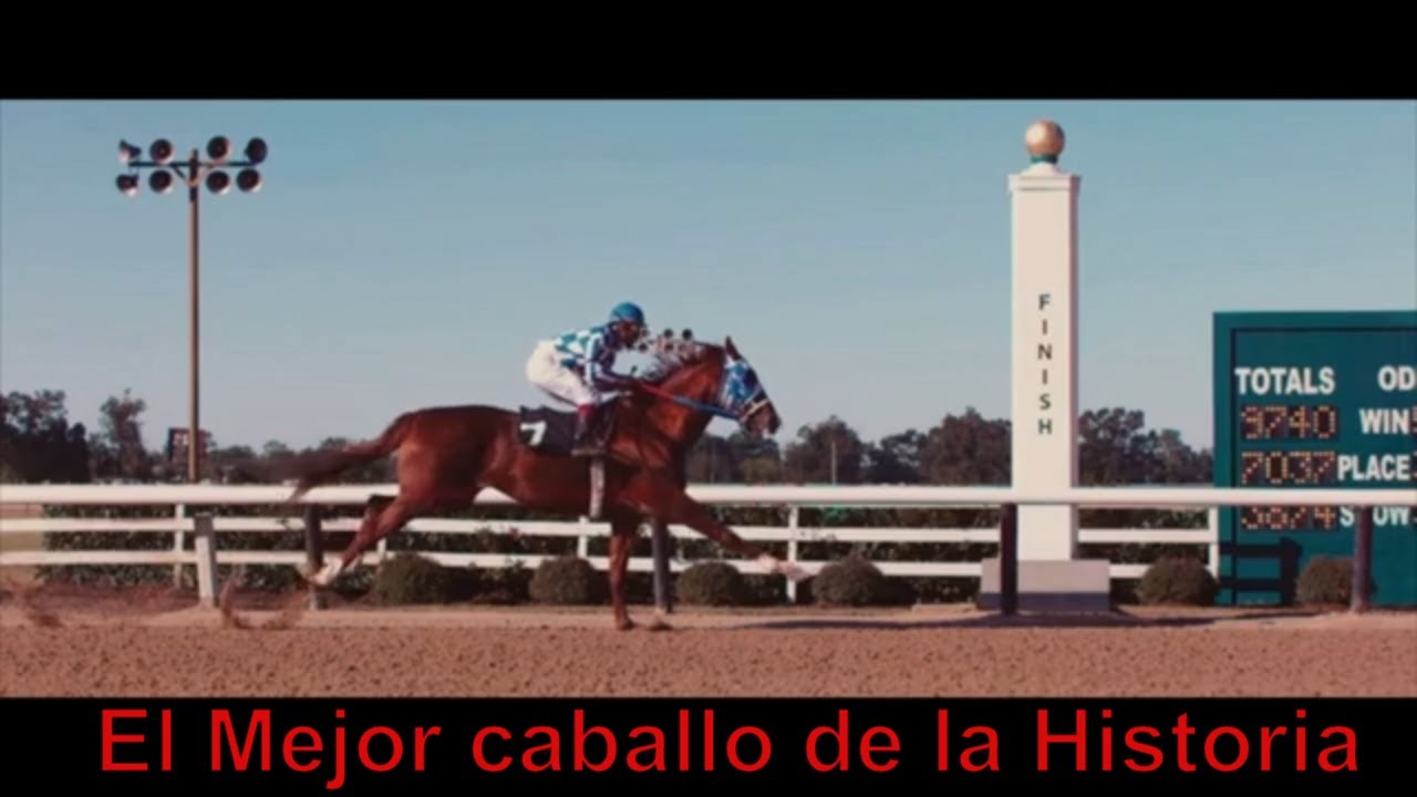 La historia de Secretariat el mejor caballo de carreras del mundo 🏇🏇 ...