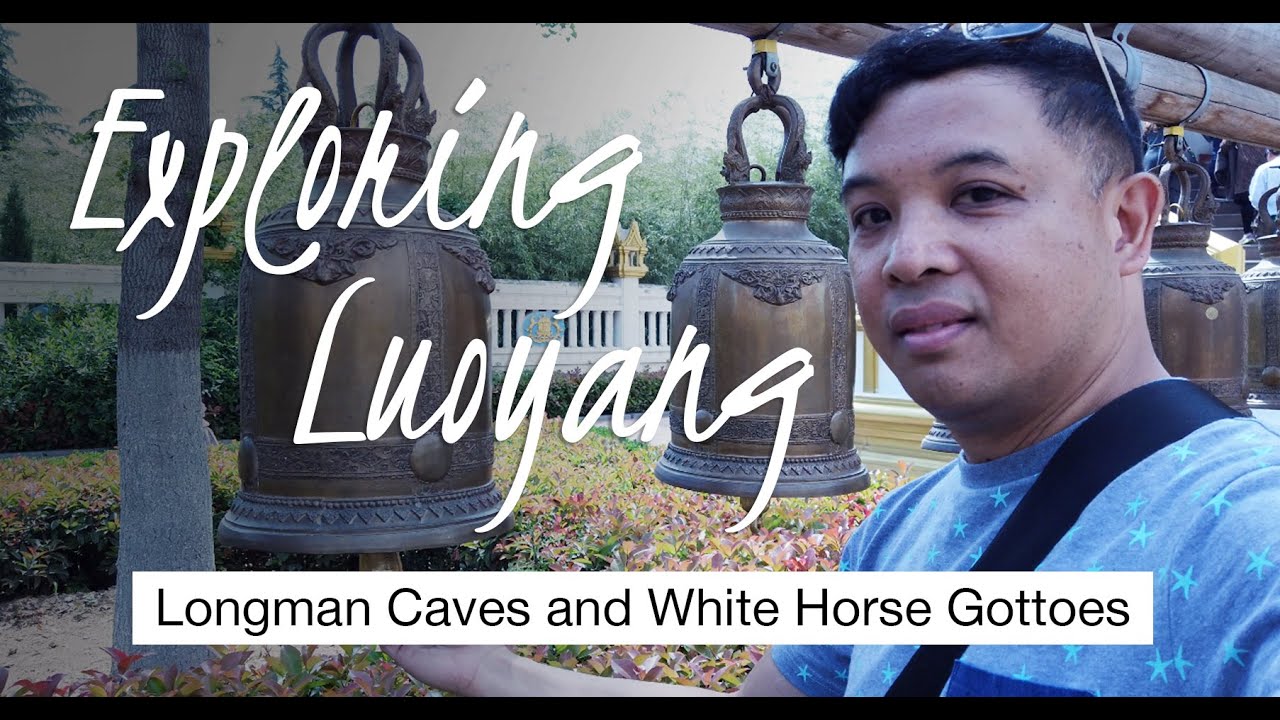 China vacation, 2019 Day 5 - Luoyang, Longman Caves and White Horse ...