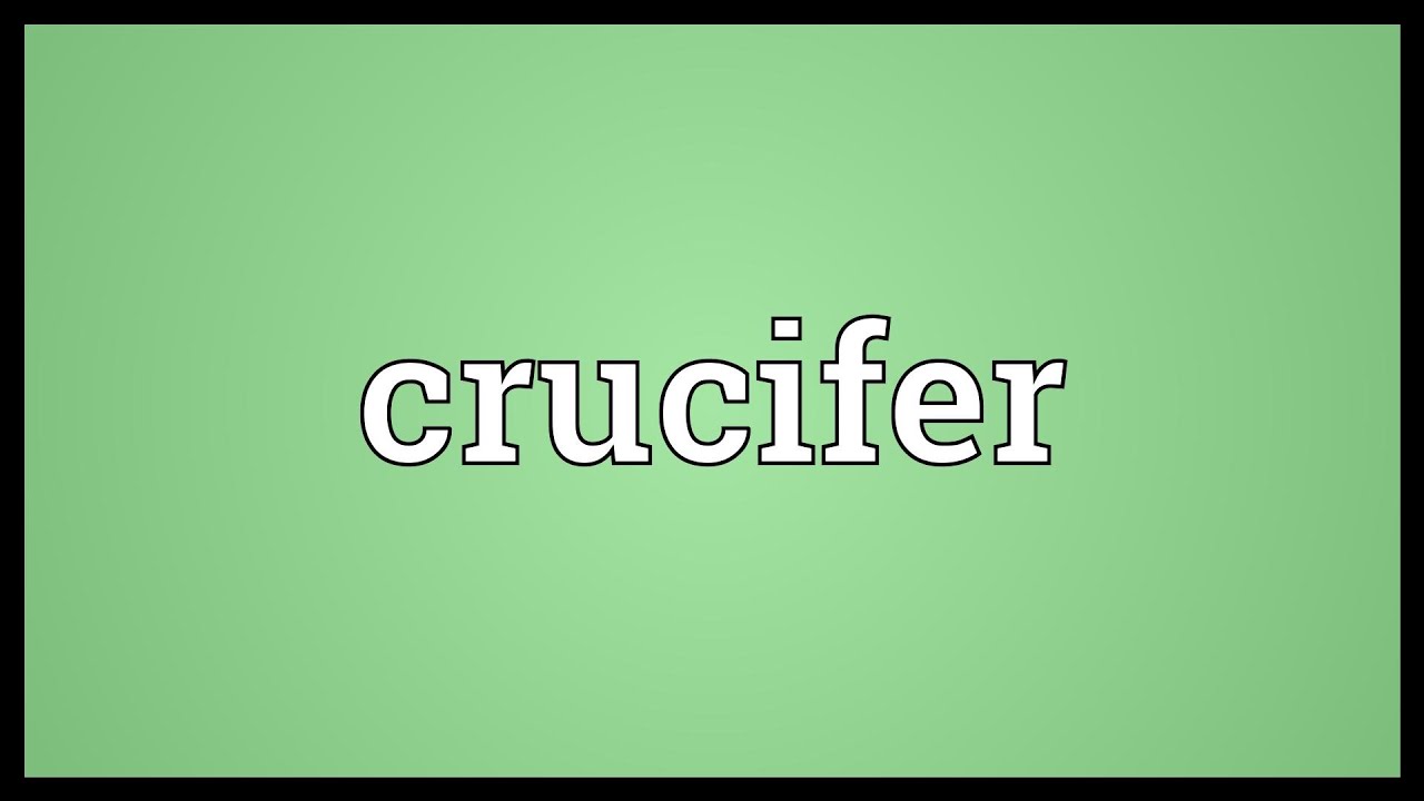 Crucifer Meaning - YouTube