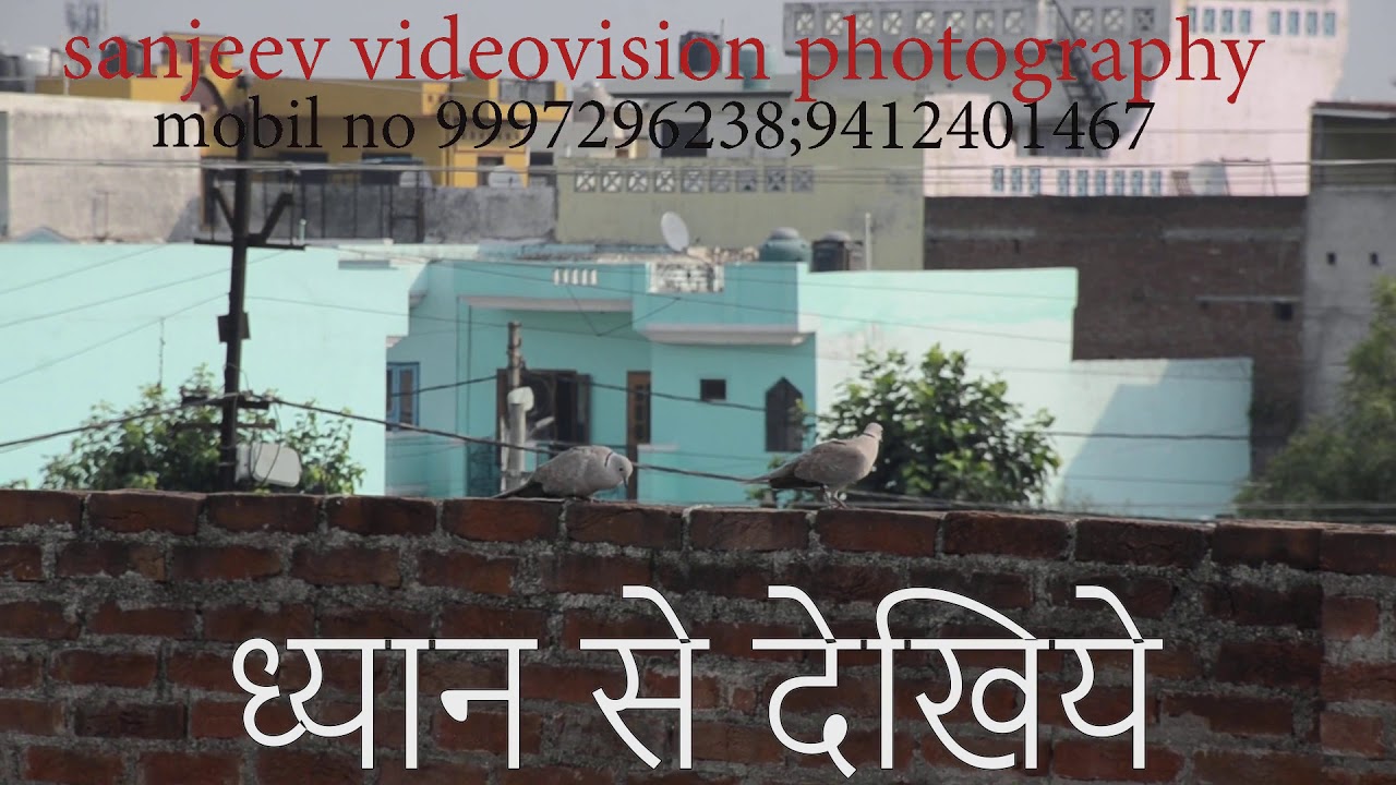 Pidkiya Orignal Sound - YouTube