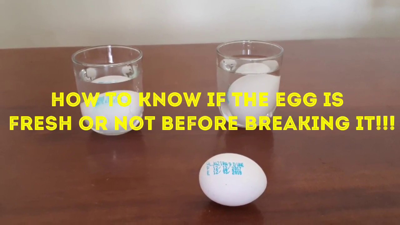 How to know if the egg is Fresh - YouTube