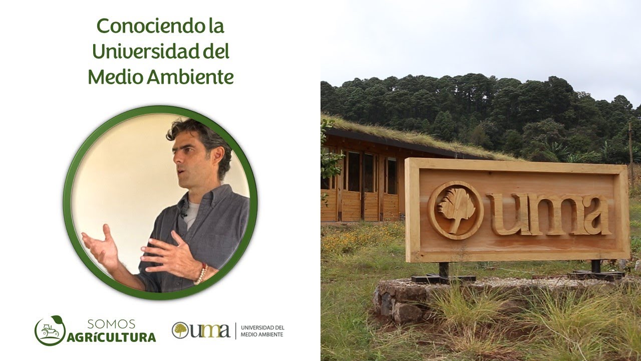 Conociendo la Universidad del Medio Ambiente - YouTube