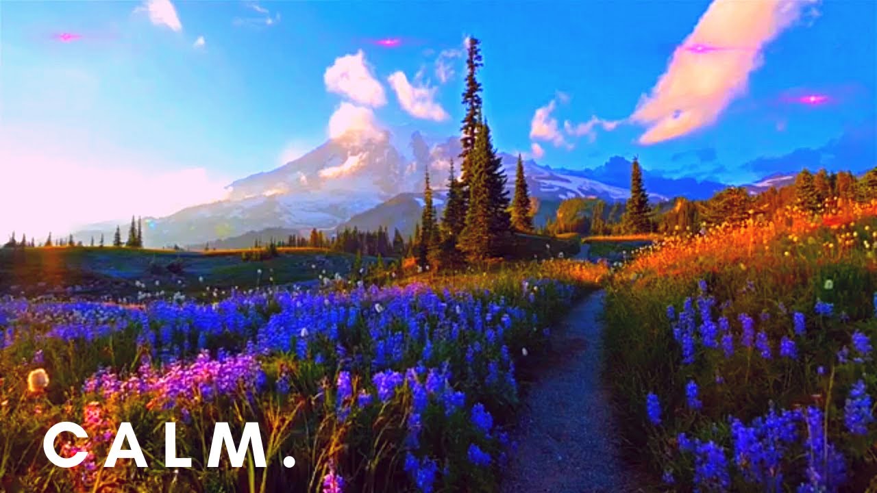 Relaxing Music with Beautiful Scenery, Calming Music, Sleep - YouTube