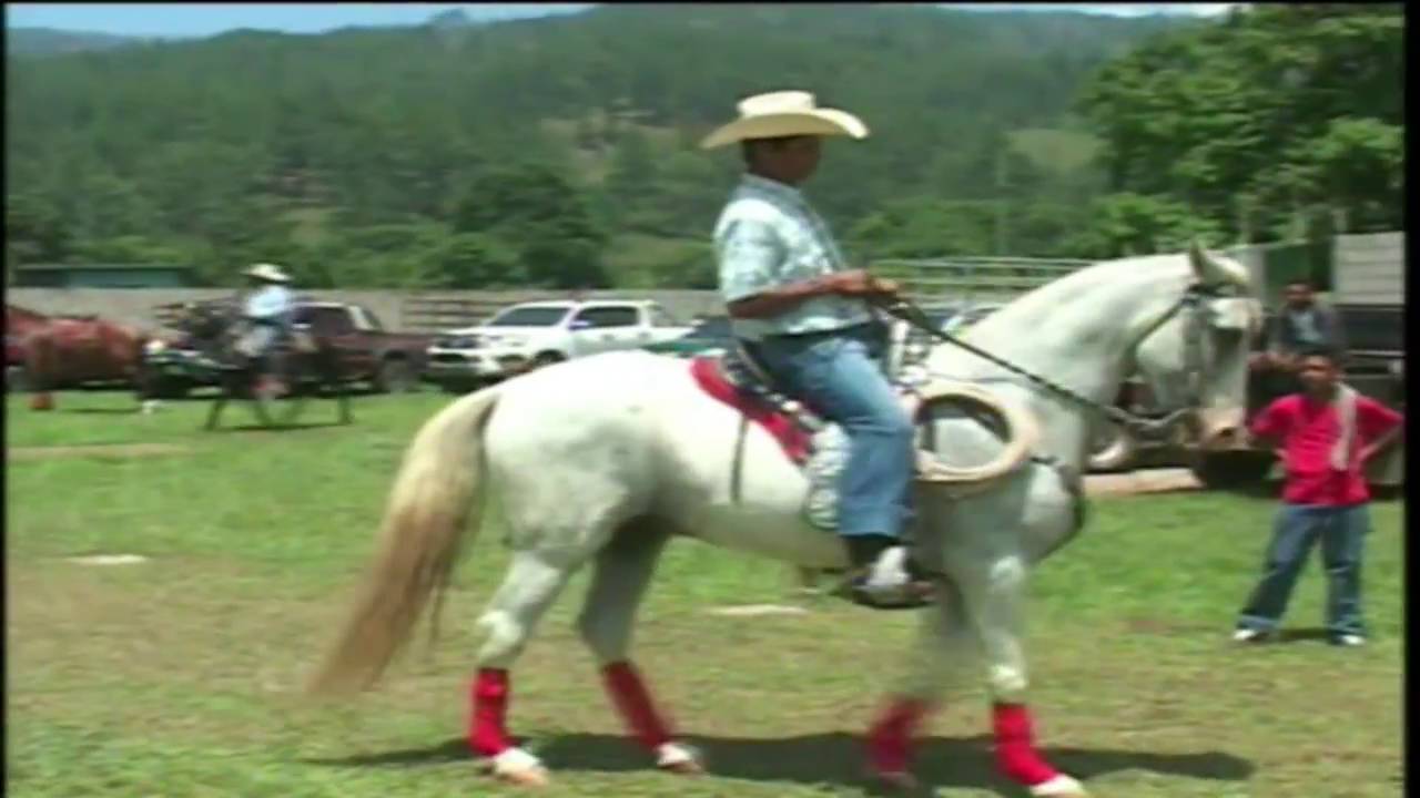 FERIA AGAJO 2016 JOCON YORO - YouTube