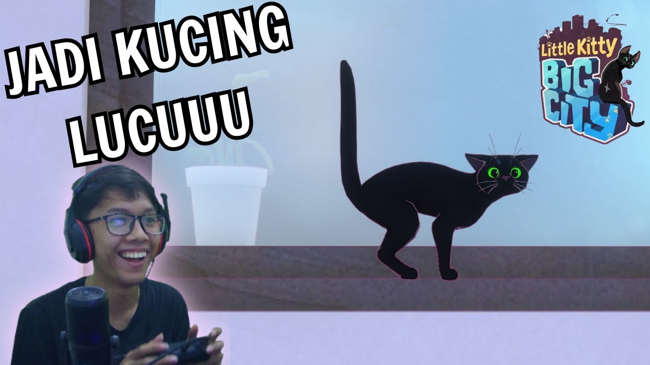 Jadi Kucing Rumahan!!! Little Kitty Big City (1) - YouTube