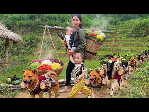 How to Make Traditional Green Bean Sticky Rice Cake with Coconut Milk | Village Cooking & Market Day