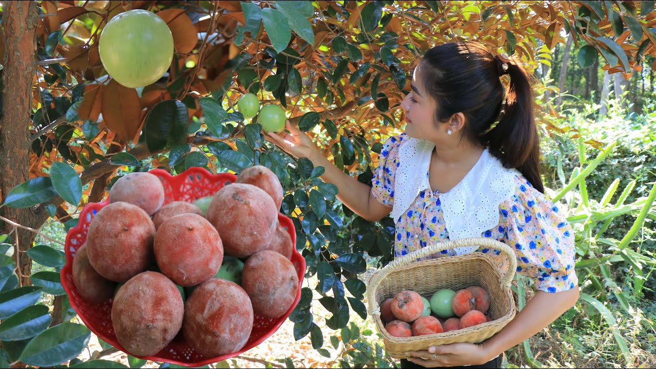 Have you ever seen these fruit at your place? / Fresh fruit dessert ...
