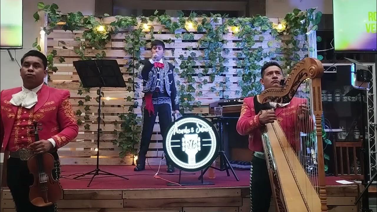 Los Laureles con Mariachi | Concierto ranchero | Robert Vergara - YouTube