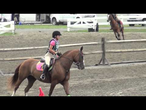 beginner novice stadium jumping - YouTube