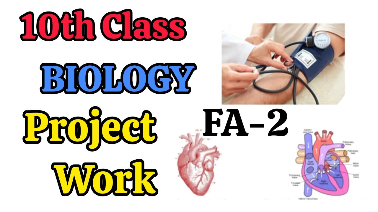 10th Class 💯BIOLOGY FA-2 Project Work 2024-2025 | 10th 💯FA-2 Biology ...