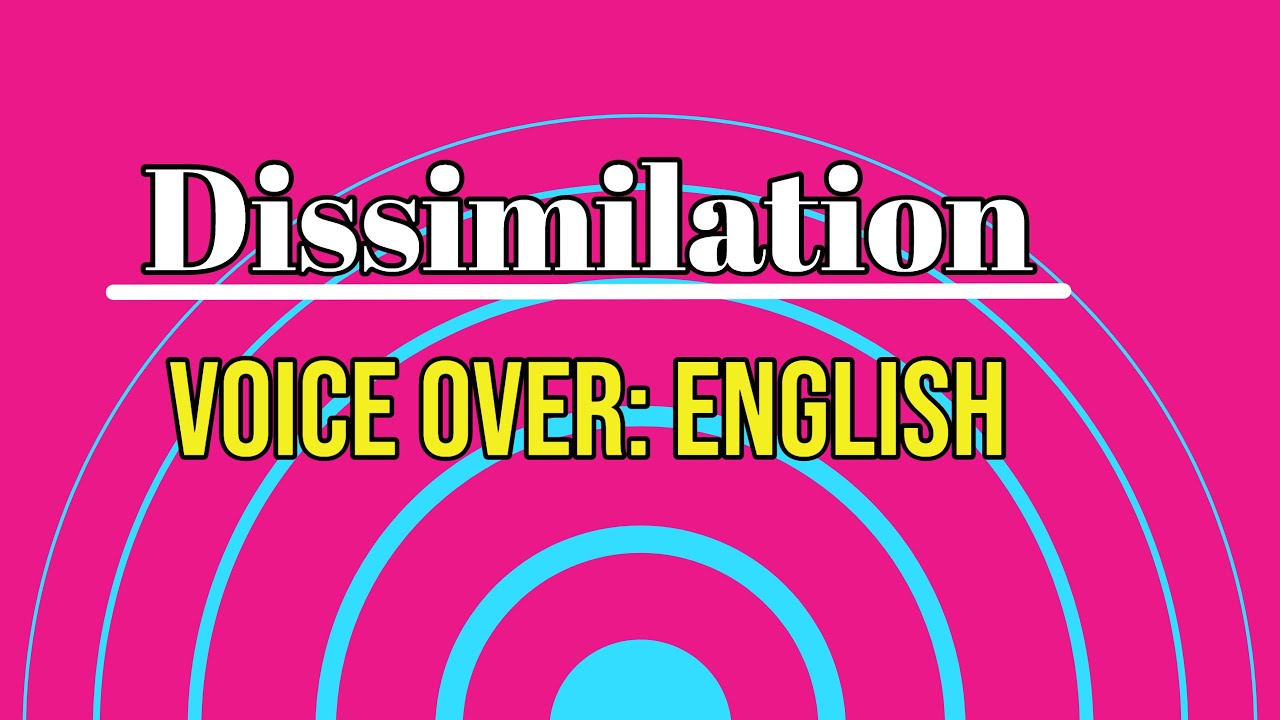 What is Dissimilation | Phonological Processes | Finnish and English ...