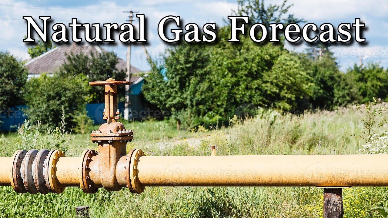 February 24 Natural Gas Oil Analysis and Forecast - YouTube