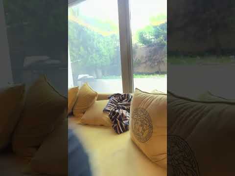 bigo dans #80 #bigolive #bigo #dans