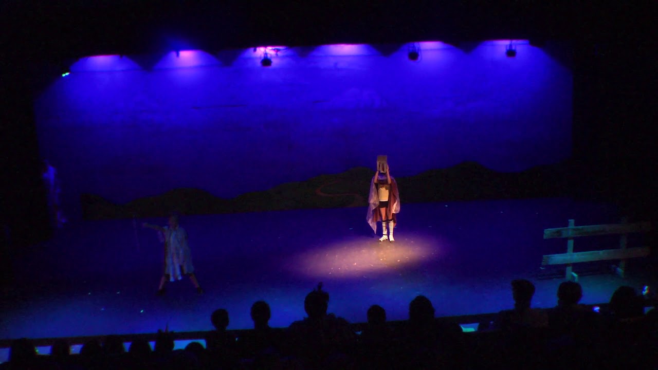 The Wizard of Oz Presented by Create A Spark Foundation - Houston ...