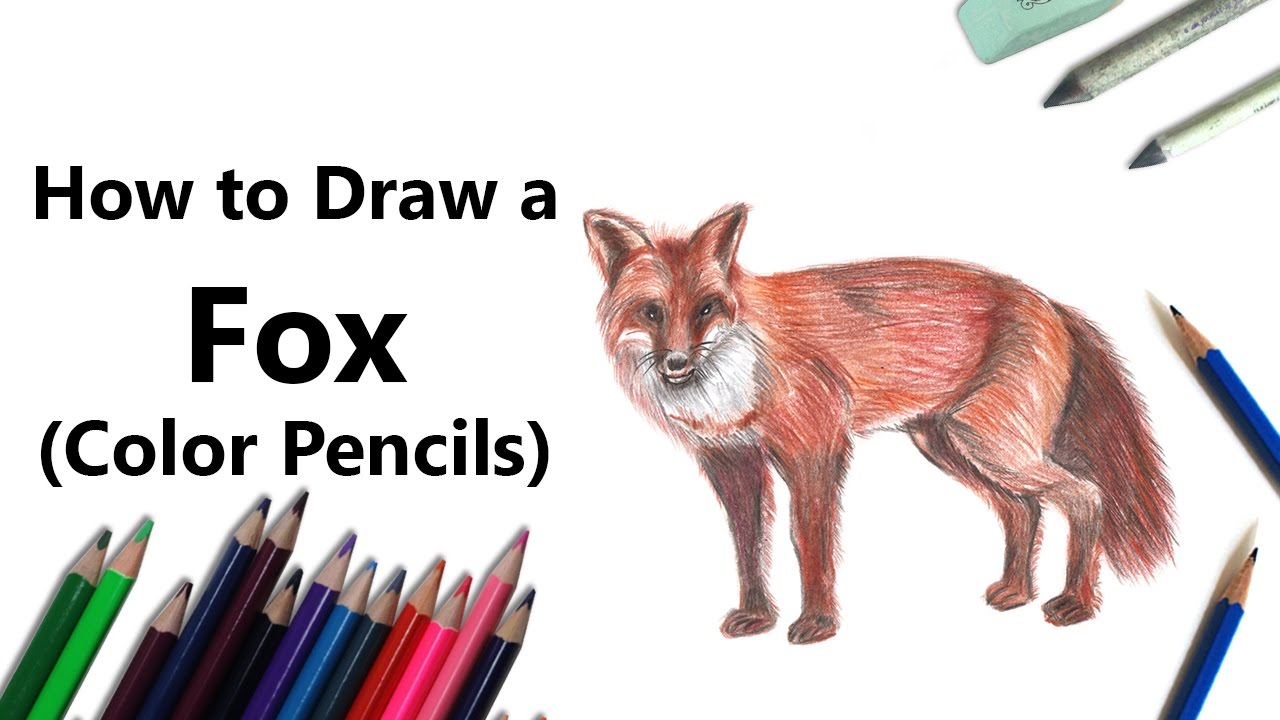 How to Draw a Fox with Color Pencils [Time Lapse] - YouTube