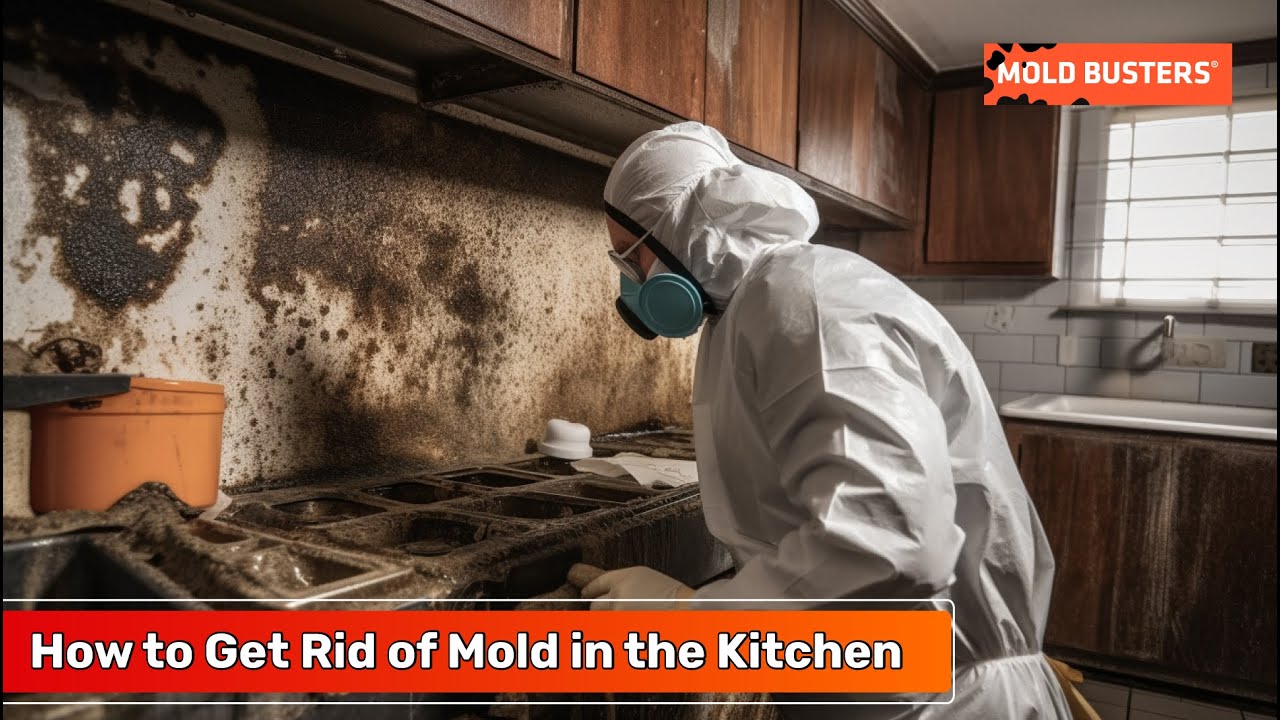 How to Get Rid of Mold in the Kitchen? - Mold Busters - YouTube