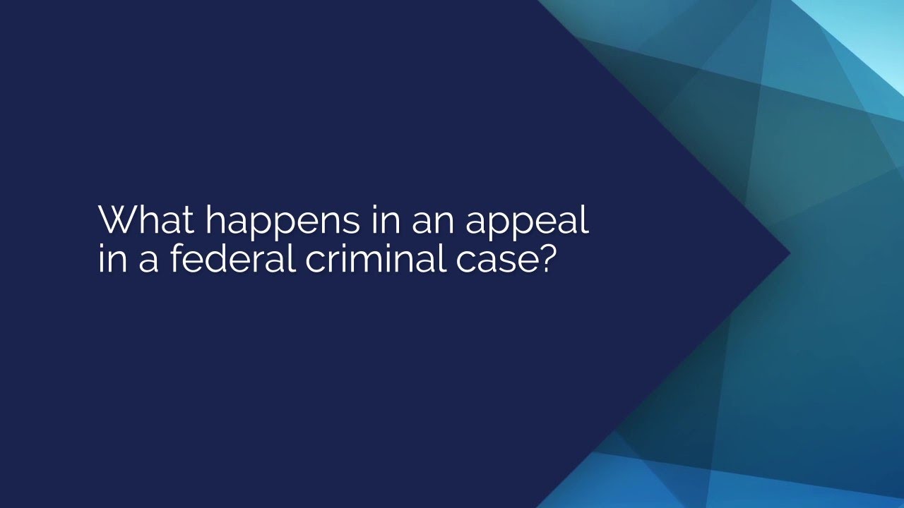 What Happens in an Appeal in a Federal Criminal Case? - Kaiser PLLC ...