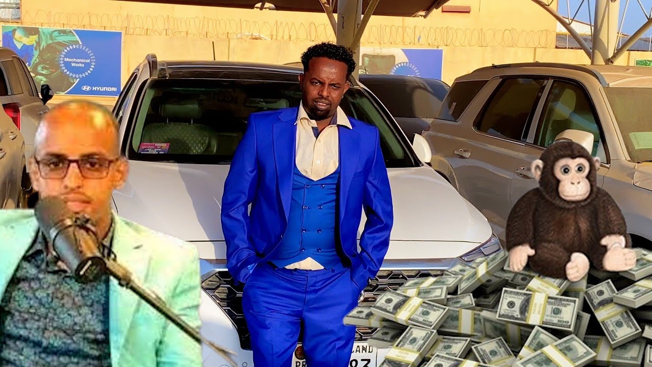 DANYEER HA NOQONINE FEYSAL TAYO HEES CUSUB OFFICIAL VIDEO - YouTube