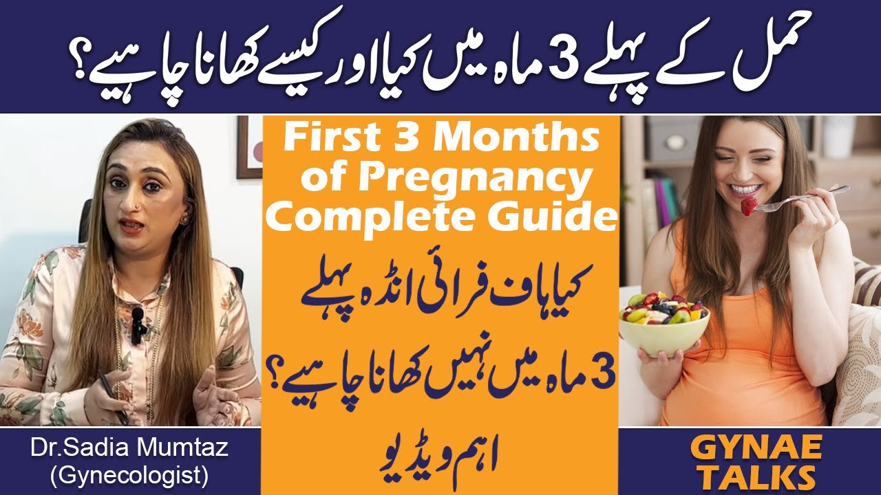 Hamal Ky Pehle 3 Maah Mai Kia Or Kaise Khana Chahye? | First 3 Months ...