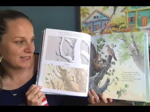 This Very Tree, by Sean Rubin - YouTube