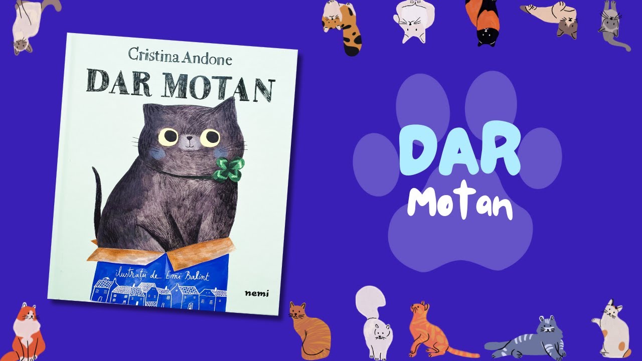 Dar Motan - O poveste cu un motan norocos care isi gaseste prieteni si ...