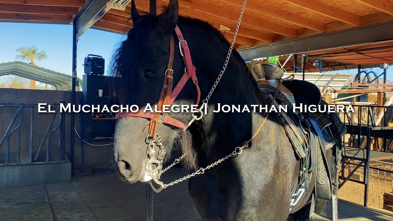 EL MUCHACHO ALEGRE • Jonathan Higuera (En Vivo) Con Banda - YouTube