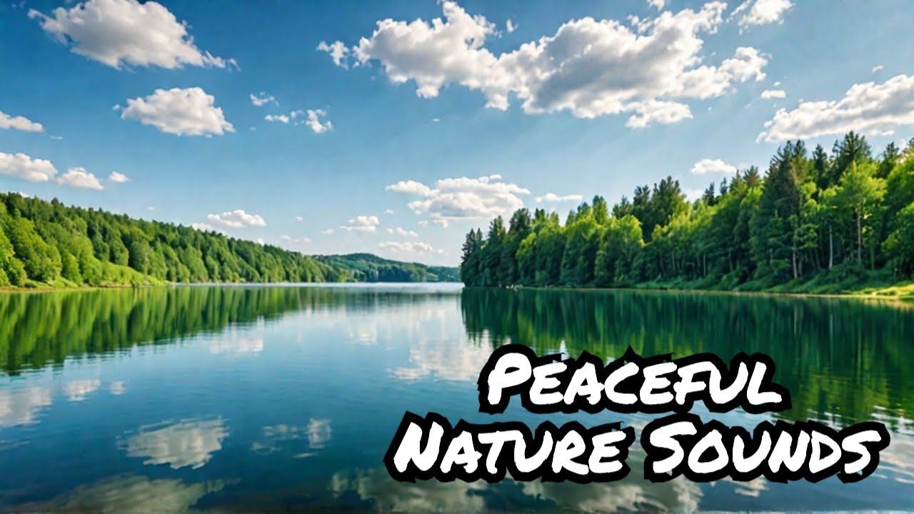 Beautiful Nature Scene, Soundand Peaceful, Relaxing and Chilling Music ...