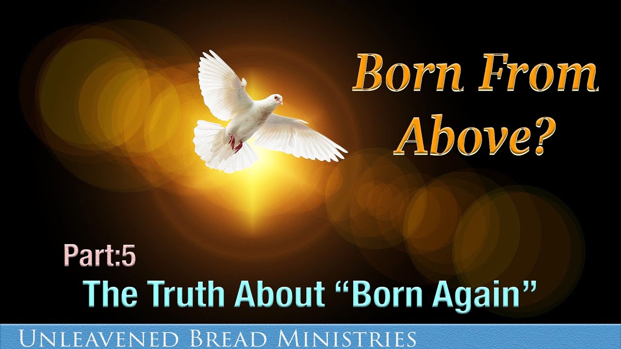 Are You Being Born From Above ? - YouTube