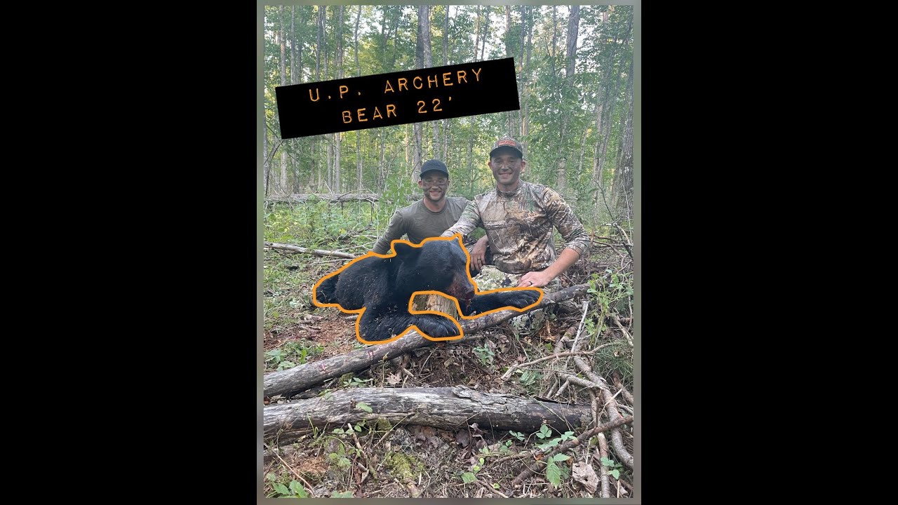 2022 Upper Michigan ARCHERY BEAR HUNT | SMOKED HIM!! - YouTube