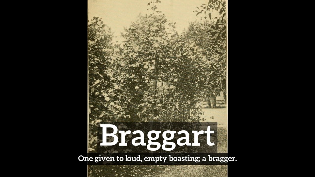 What is Braggart? | How to Say Braggart in English? | How Does Braggart ...