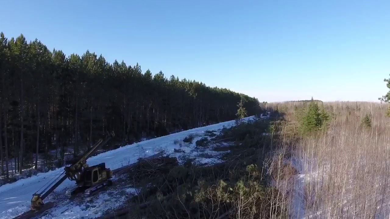 Aerial view of logging site - YouTube