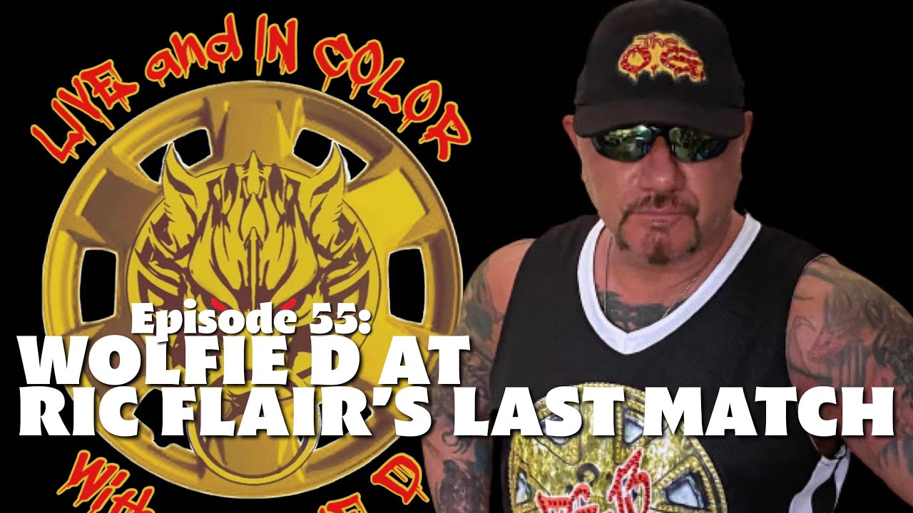 Wolfie D At Ric Flair's Last Match! - YouTube