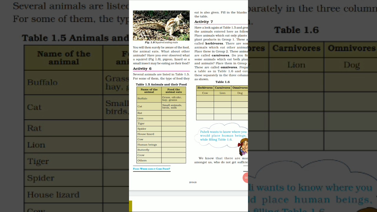 grade-6-ch1-pg-5-6-7-where-do-animals-get-their-food-from-exercise