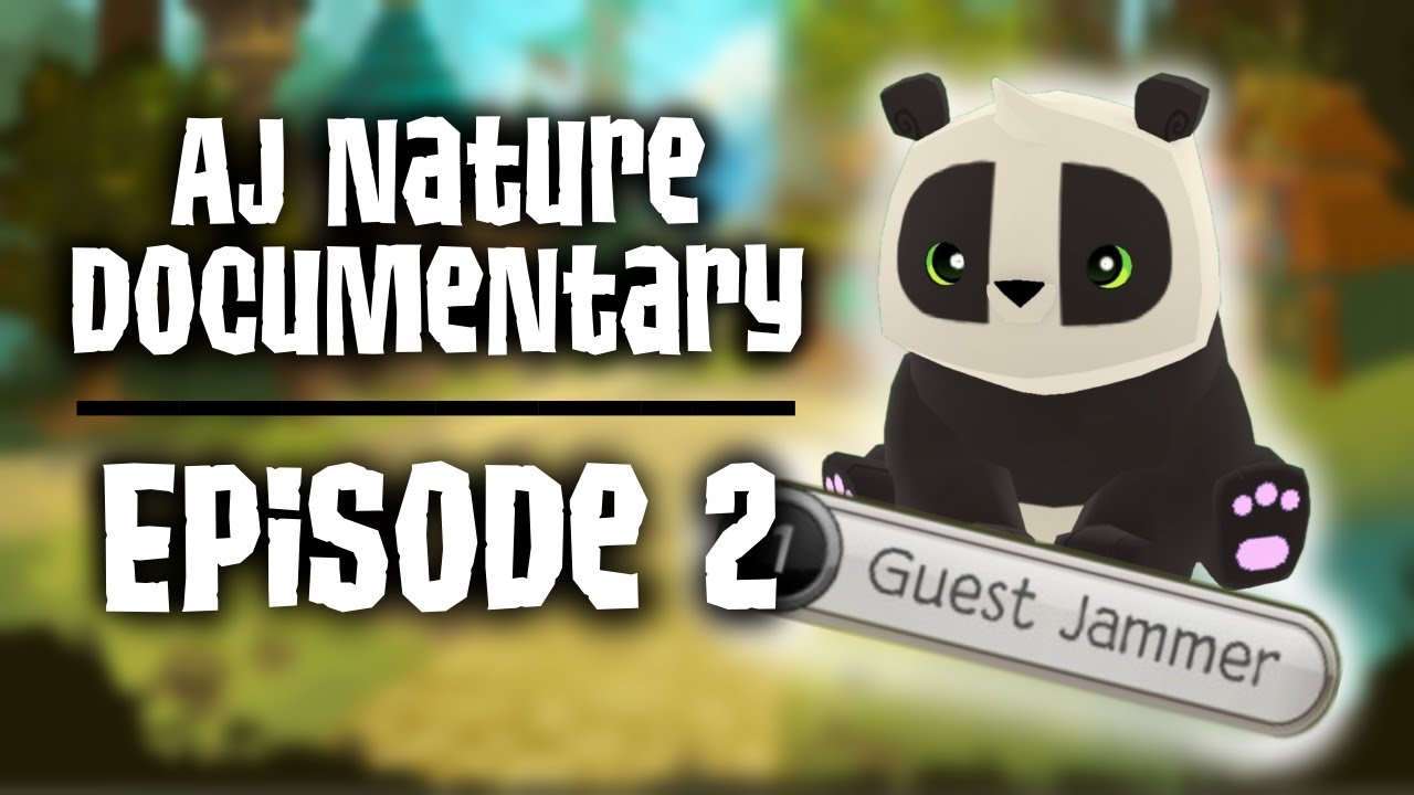 AJ Nature Doc || Guest Jammers - YouTube