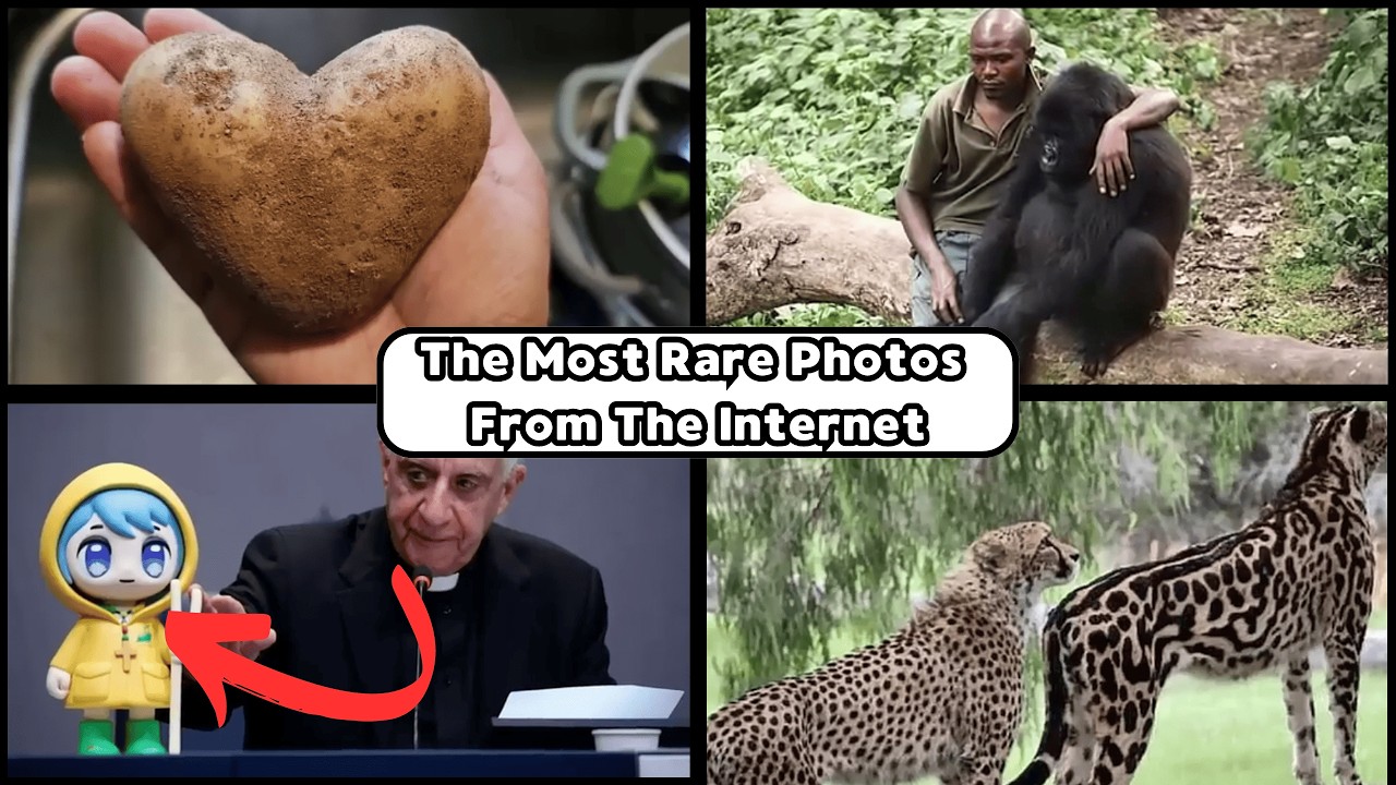RARE Internet Photos That Will BLOW Your Mind! - Compilation - YouTube
