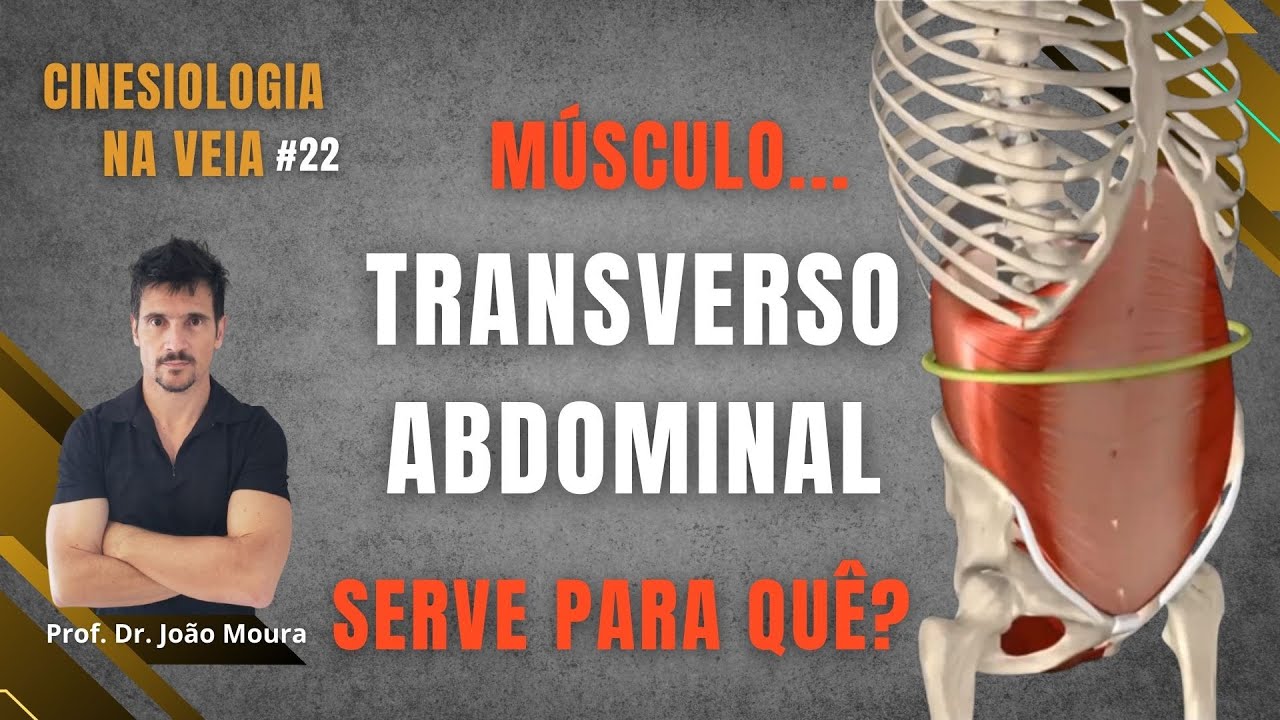MÚSCULO TRANSVERSO ABDOMINAL NÃO MOVIMENTA ALAVANCA ÓSSEA ...