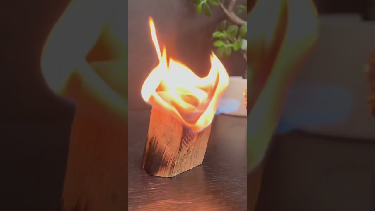 Bag Of Poop On Fire