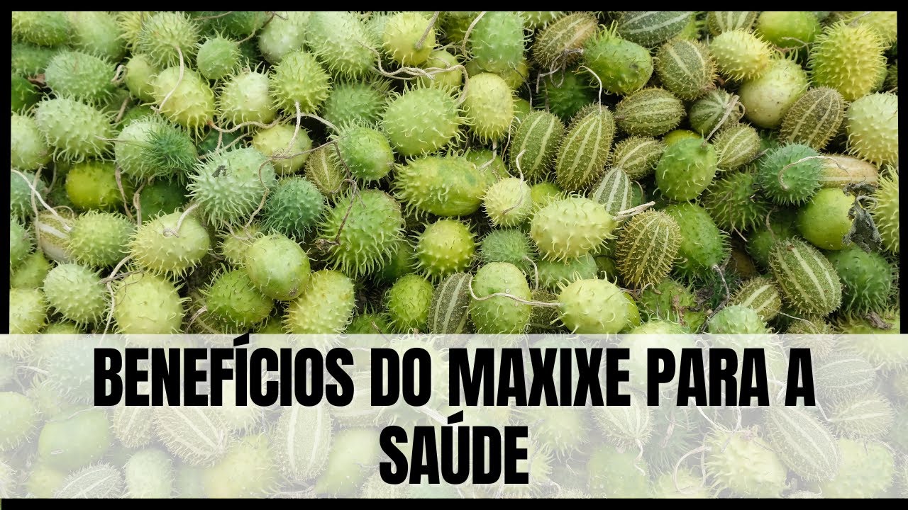 Beneficios do maxixe para a saúde - YouTube