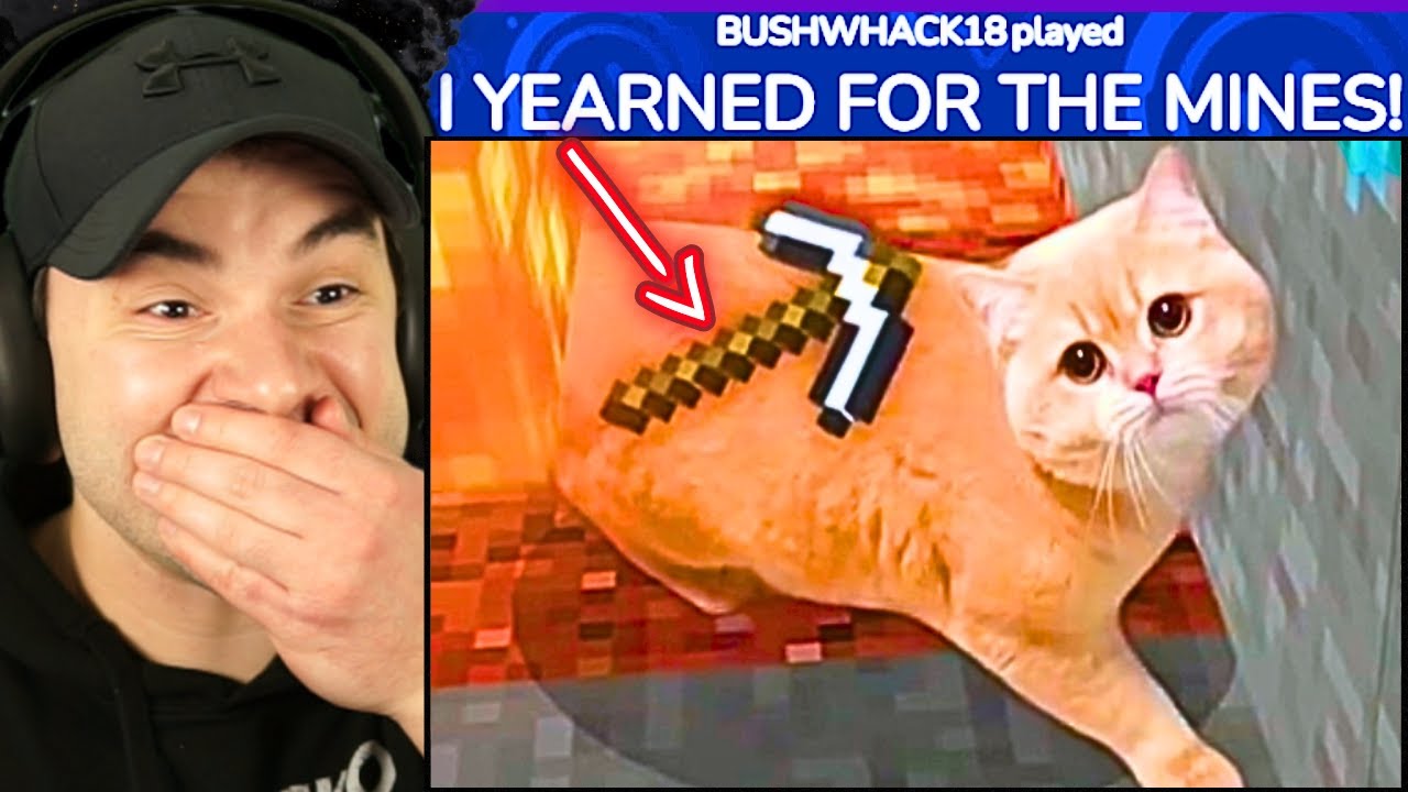 Perfectly Timed Discord Memes, And I Can't Laugh! #229 - YouTube