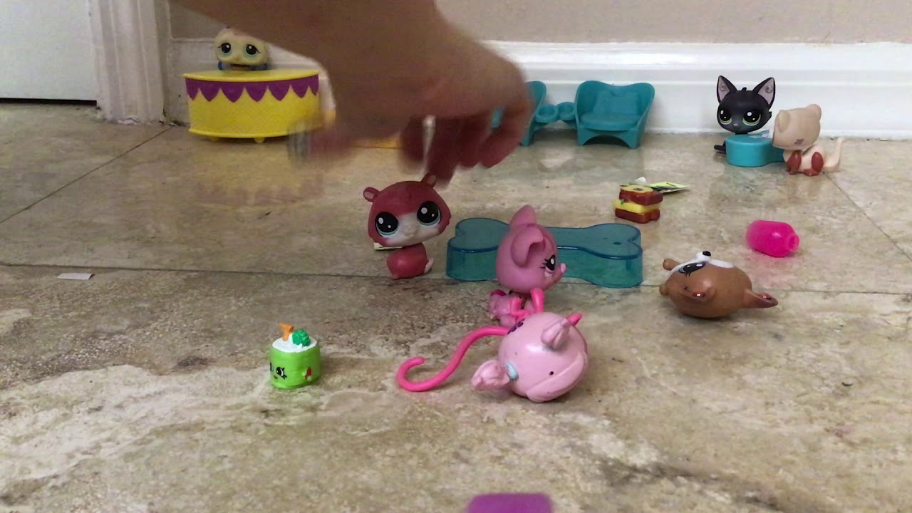 Episode 5 The fancy restaurant/lps/ skit :) - YouTube