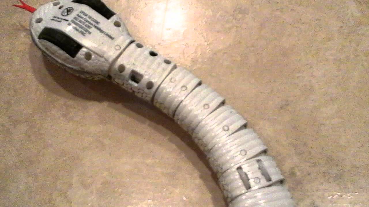 Robo-Rattler review - YouTube